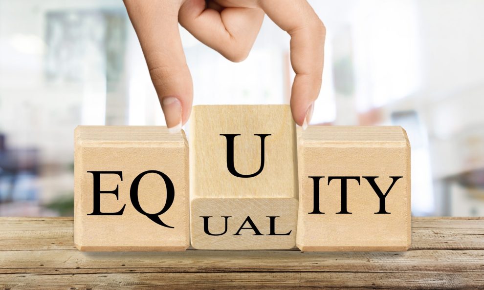 Equity: Jenis, Unsur dan Cara Mudah Menghitungnya! - abcpoins.com
